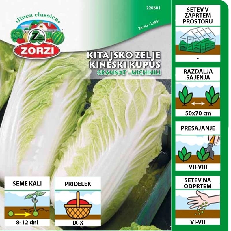 Kitajsko Zelje | Sadike.si
