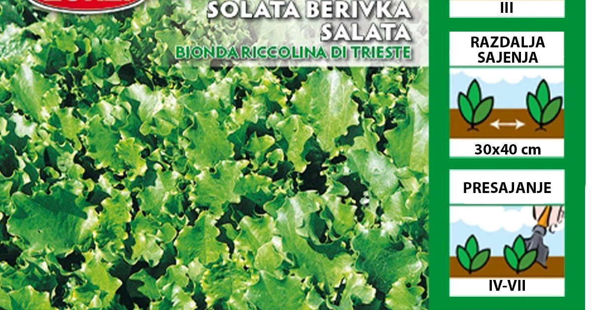 Solata Berivka | Sadike.si