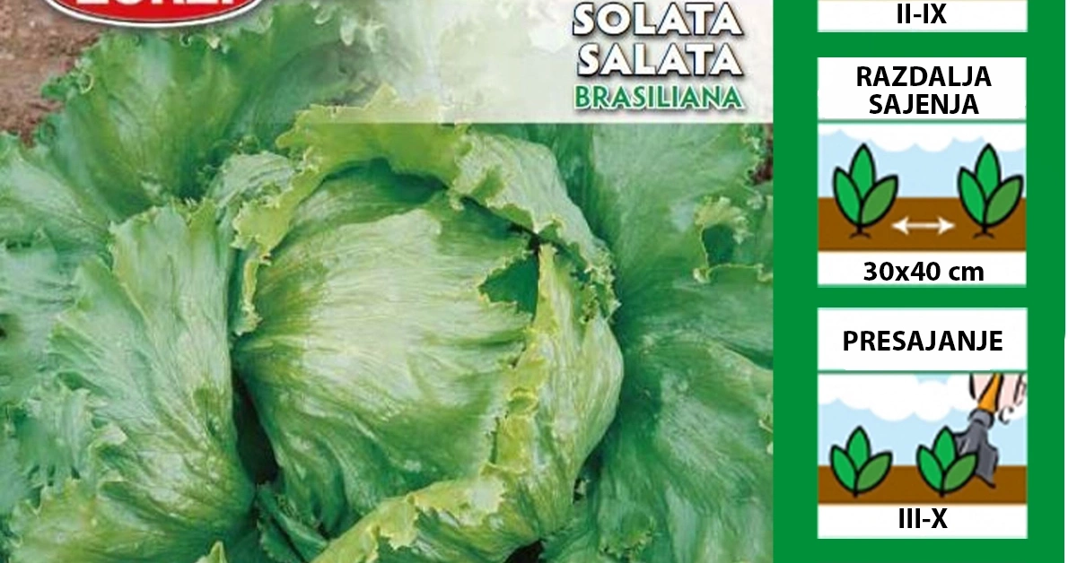 Solata Brasiliana | Sadike.si