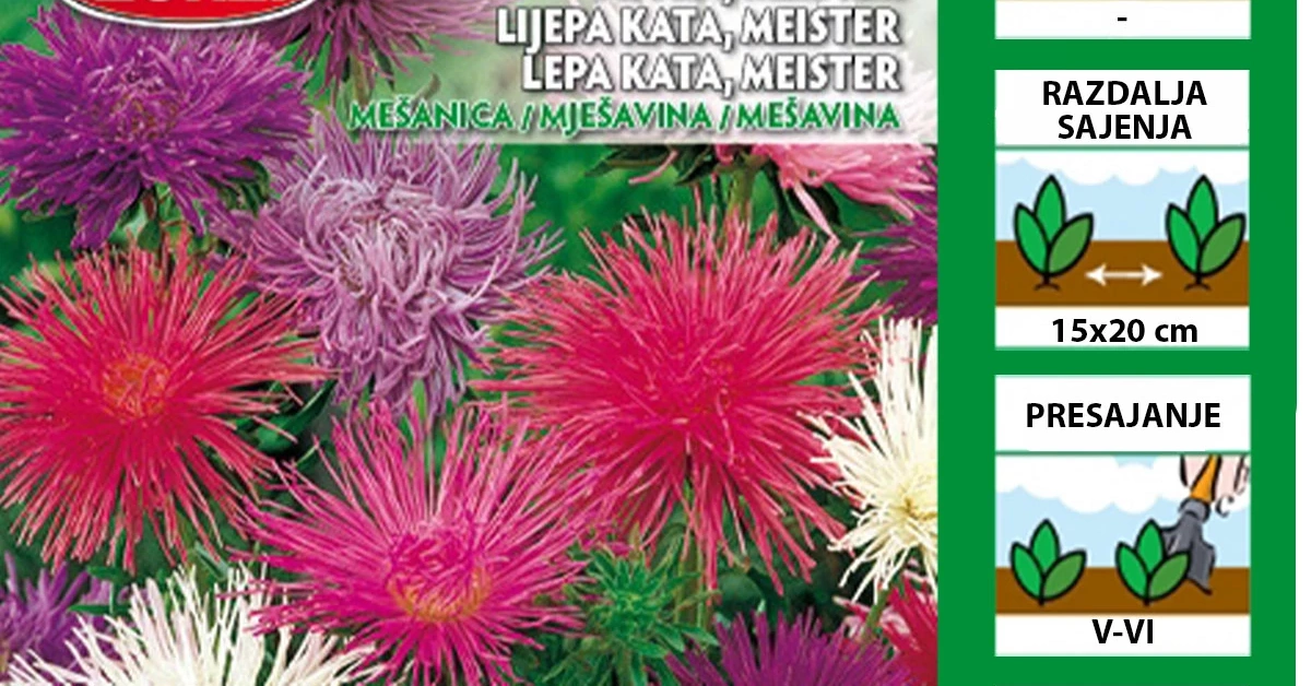 Astra Meister Mix | Sadike.si