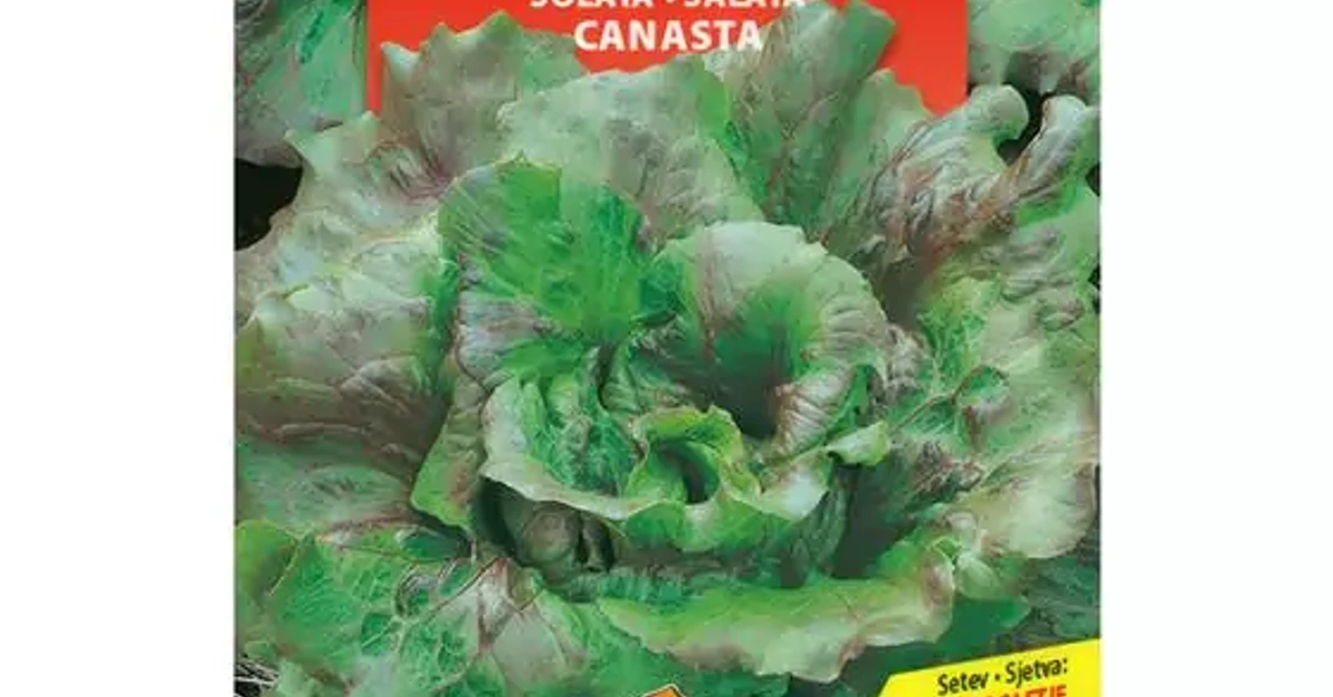 Solata Canasta Big Pack 15g | Sadike.si