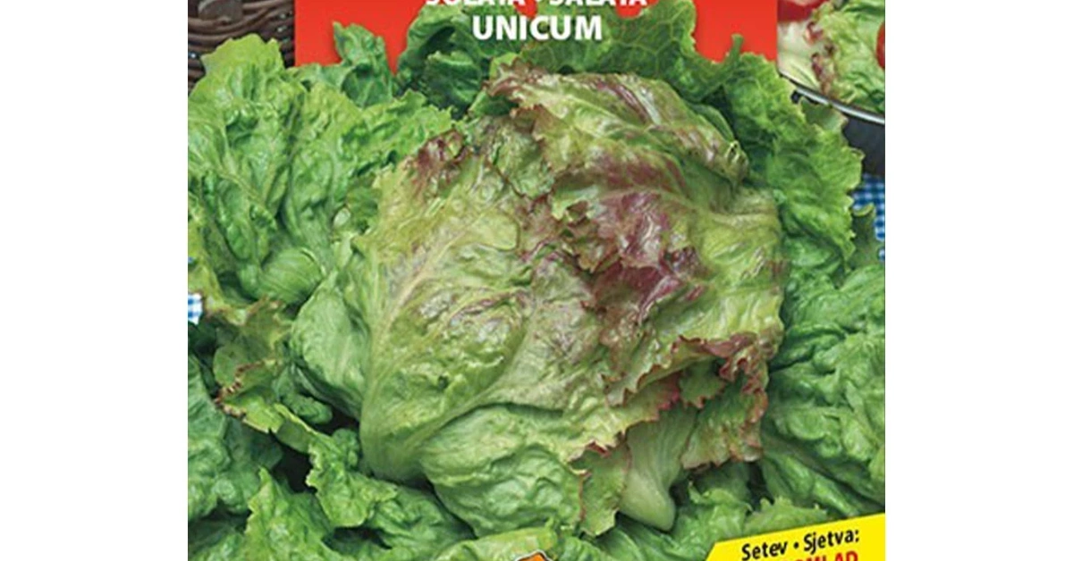 Solata Unicum Big Pack 15g | Sadike.si